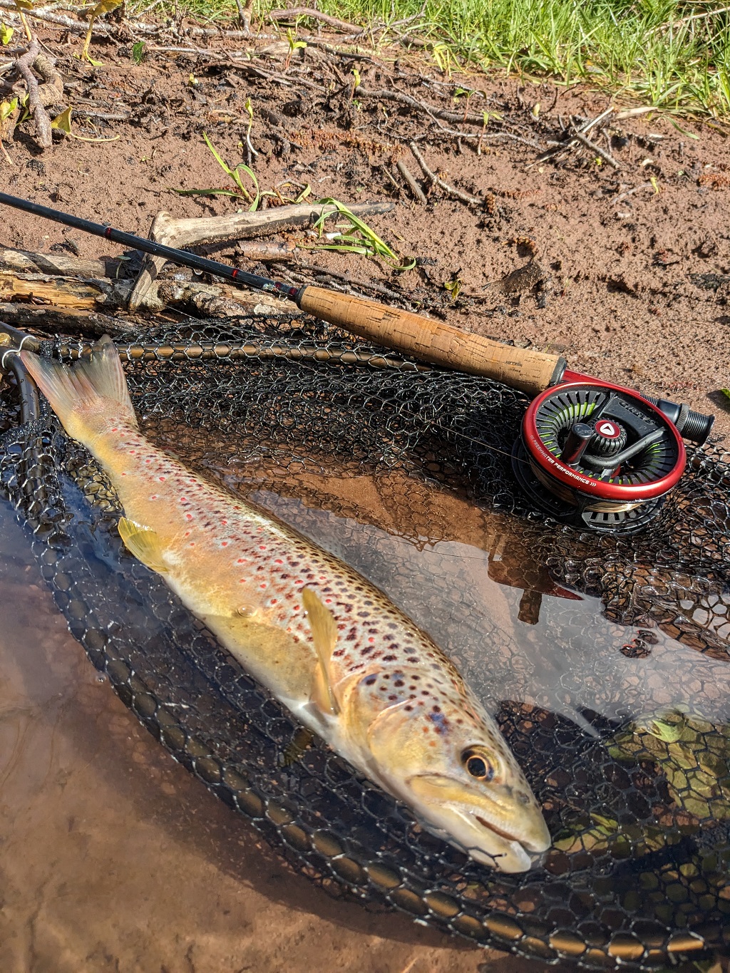 Fly Fishing Wales – Guided trips on river and lake