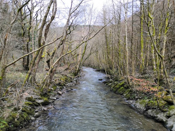 Fly Fishing Wales – Guided trips on river and lake