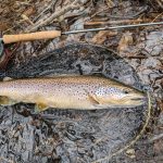 Fly Fishing Wales – Guided trips on river and lake