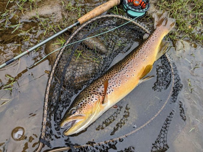 Fly Fishing Wales – Guided trips on river and lake