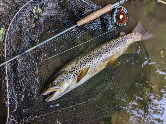 Fly Fishing Wales – Guided trips on river and lake