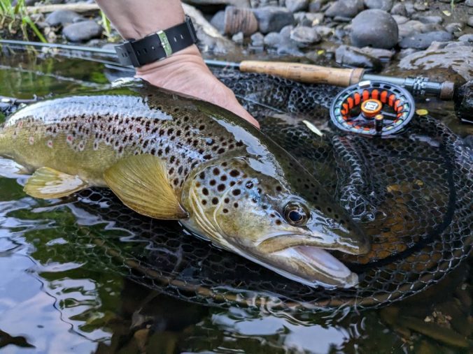 Fly Fishing Wales – Guided trips on river and lake