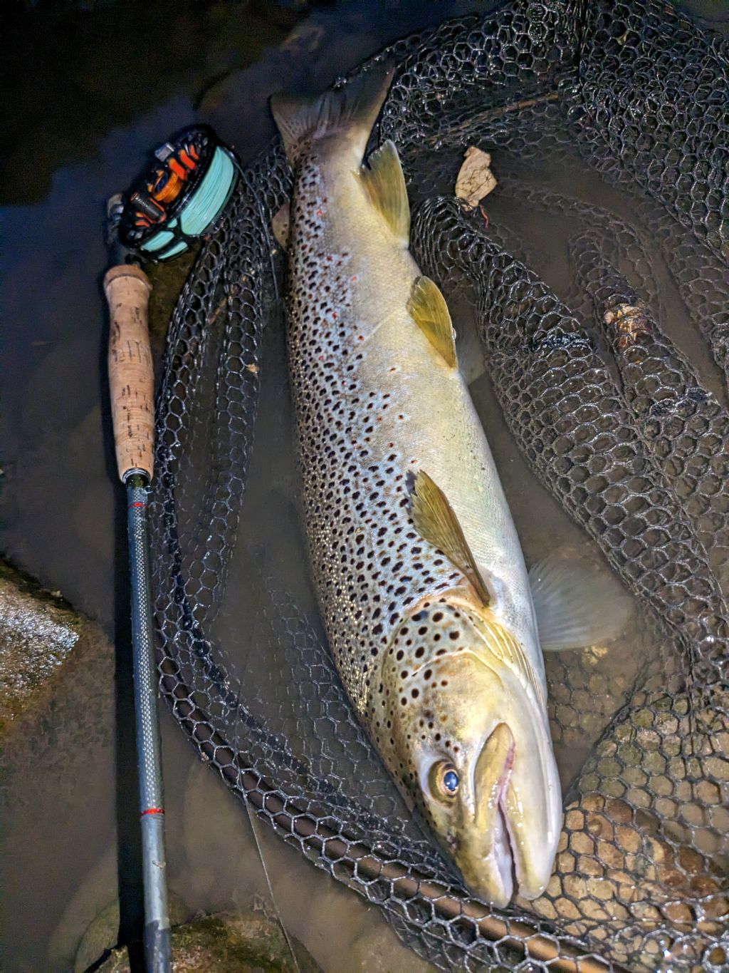 Fly Fishing Wales – Guided trips on river and lake