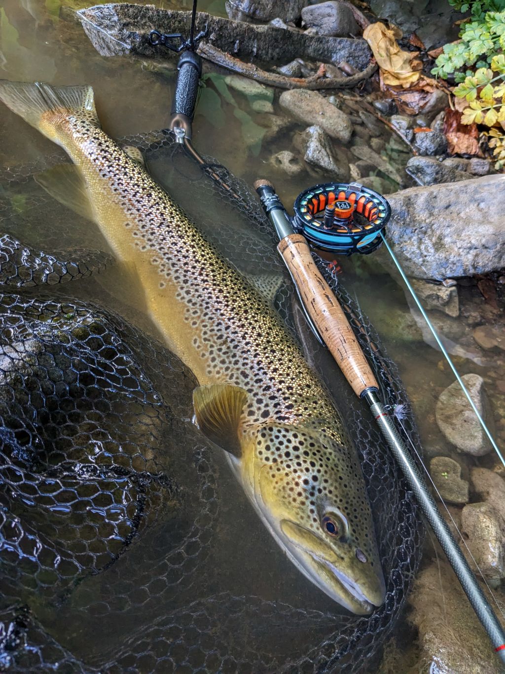Fly Fishing Wales – Guided trips on river and lake