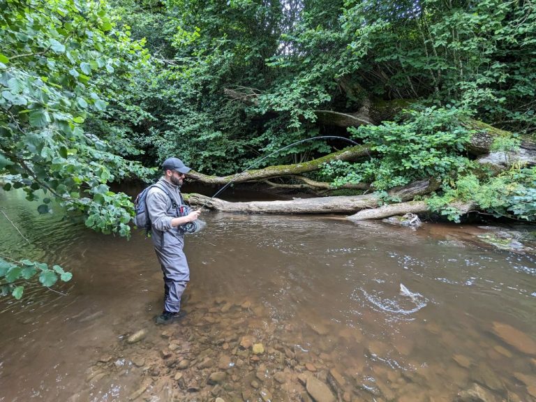 Fly Fishing Wales – Guided trips on river and lake