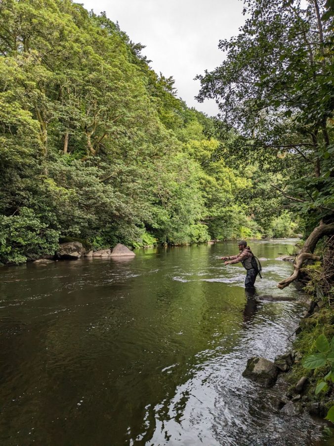 Fly Fishing Wales – Guided trips on river and lake