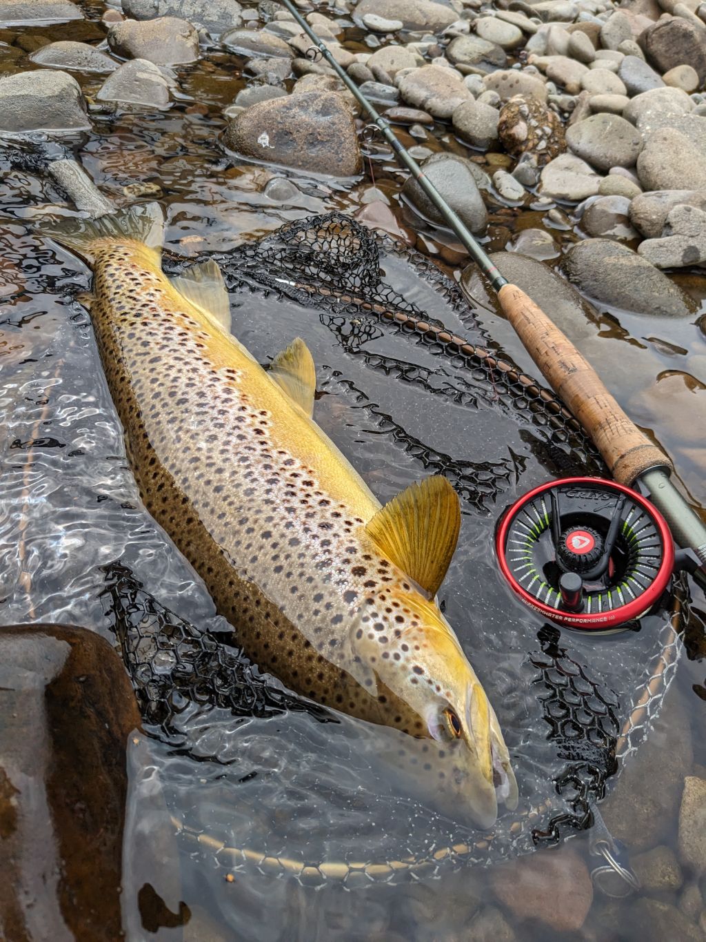 Fly Fishing Wales – Guided trips on river and lake